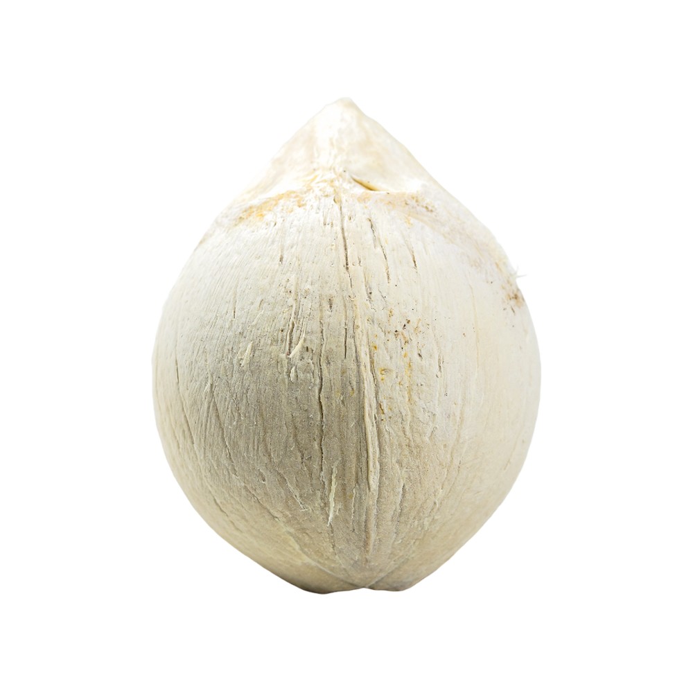 Premium Tender Coconut with Malai (Elaneer) Price - Buy Online at Best ...