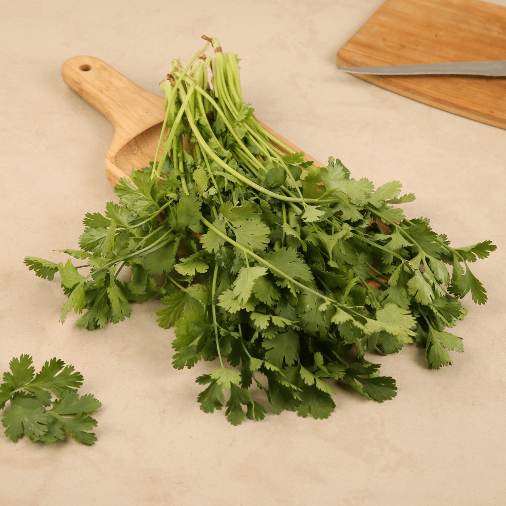 Coriander Bunch Price - Buy Online at ₹0 in India