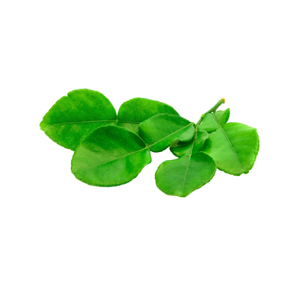 Lemon Leaves (Kaffir) Price - Buy Online at Best Price in India