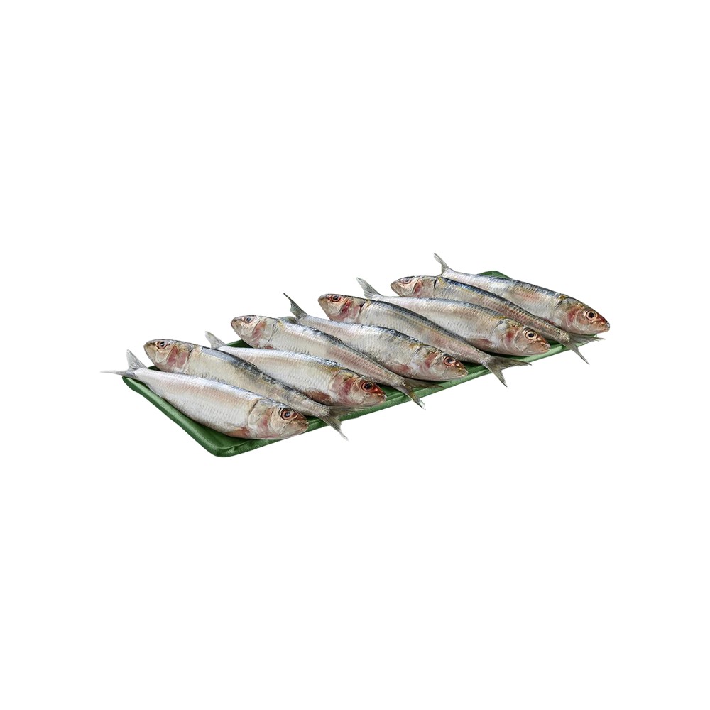 FreshToHome Premium Sardine Whole Fish (Small) Price - Buy Online at ...