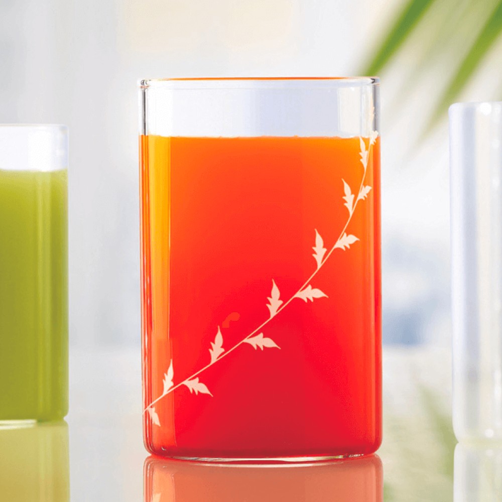 Borosil Vision Large Glass Glass (350 ml, Transparent) Price - Buy ...