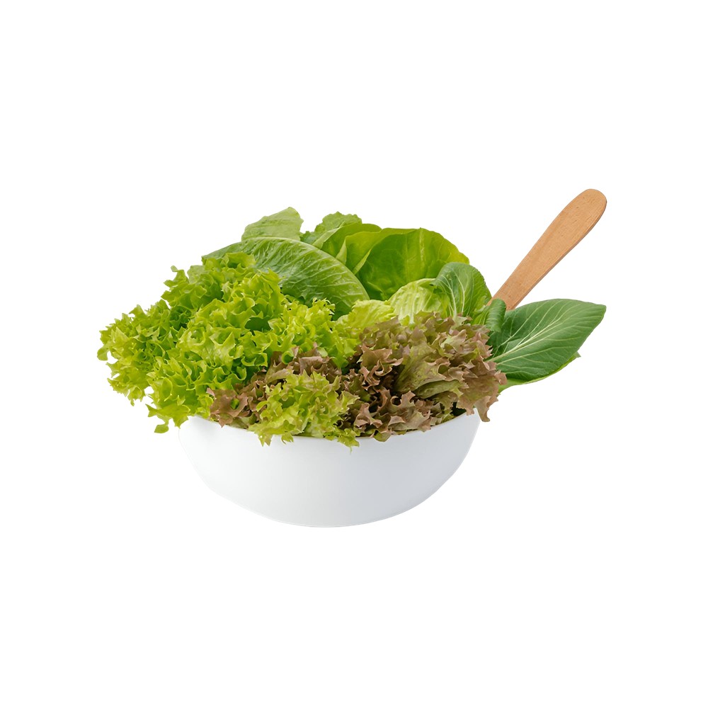 Hydroponic Lettuce Mix Price - Buy Online at Best Price in India