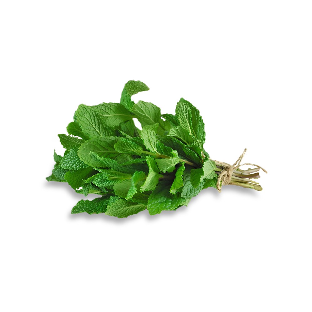 Mint Leaves Special Offer Price - Buy Online at Best Price in India