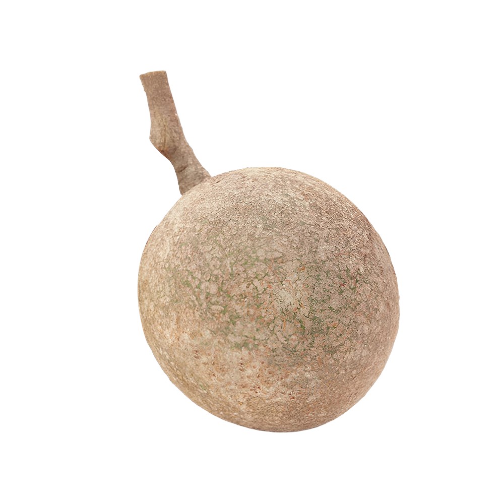 Wood Apple Price - Buy Online at Best Price in India
