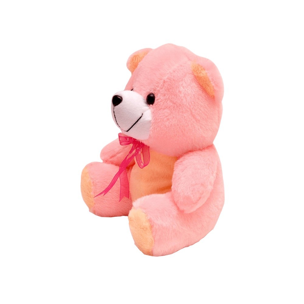 IGP - Joyful Roses and Carnations Flower Box + Teddy Bear Plush Soft ...