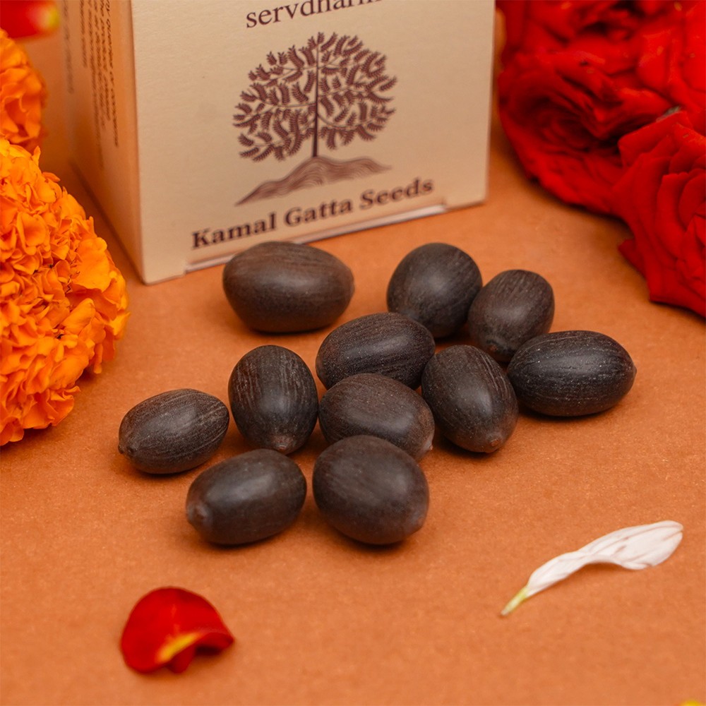 Kamal Gatta Kamal Seeds - ServDharm Price - Buy Online at ₹51 in India