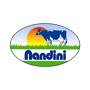 Nandini Goodlife Toned Milk - Pack of 12 Price - Buy Online at Best ...