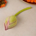 Pink Lotus Flower (Kamal) Price - Buy Online at Best Price in India