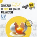 Hen Fruit -6 Farm Fresh Antibiotic Free White Protein Rich Eggs Price ...