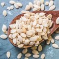Organic Box Organic Magaj Seeds Price - Buy Online at Best Price in India