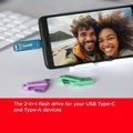 SanDisk Ultra Dual Drive Go USB Pen Drive (128 GB) Price - Buy Online ...