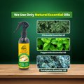 ELEM Repl Lizard Repellent Spray Price - Buy Online at Best Price in India