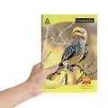Classmate Single Line Notebook (B5, Design may Vary) Price - Buy Online ...