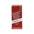 Candibiotic Plus Ear Drops Price - Buy Online at ₹101 in India