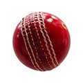 Cosco Leather Club Cricket Ball (Red) Price - Buy Online at ₹469 in India