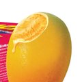 Hocco Aamchi Mango Ice Cream Cup Price - Buy Online at ₹200 in India
