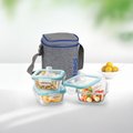 Treo All Fresh Square Glass Lunch Box With Bag Price - Buy Online at ...