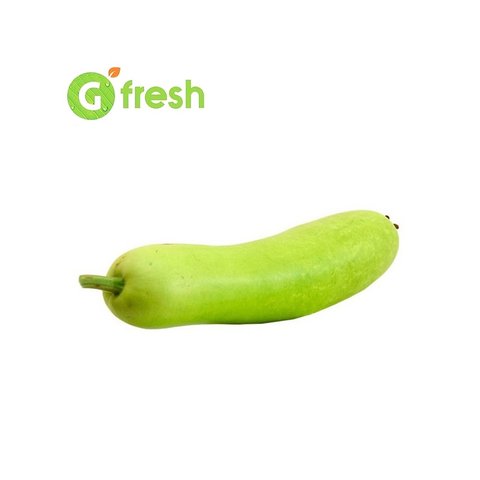 Baby Bottle Gourd (Lauki) Price - Buy Online at Best Price in India