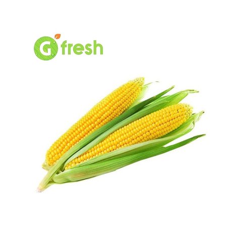 Sweet Corn Price - Buy Online at Best Price in India