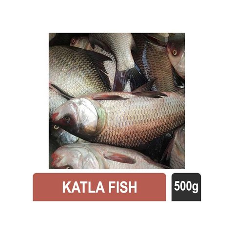 Jalongi Katla Gada Peti Pack Fish Price - Buy Online at Best Price in India