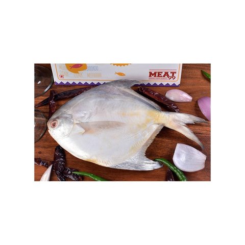 Meat 99 White Pomfret Fish Price - Buy Online at Best Price in India