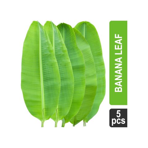 Banana Leaf Price Buy Online At Best Price In India Banana Leaf Price Buy Online At Best Price In India