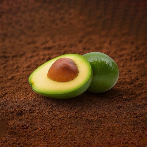 Organically Grown Indian Avocado (Semi Ripe) Price - Buy Online at Best ...