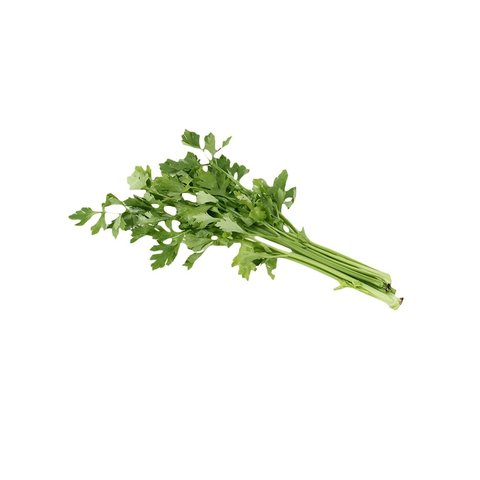 Celery - Hydroponically Grown Price - Buy Online at Best Price in India