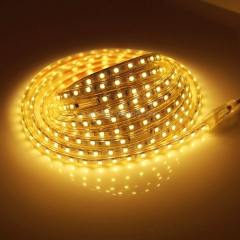 Warm White 600 LED Rope Light (5 W) - Lexton Price - Buy Online at Best ...