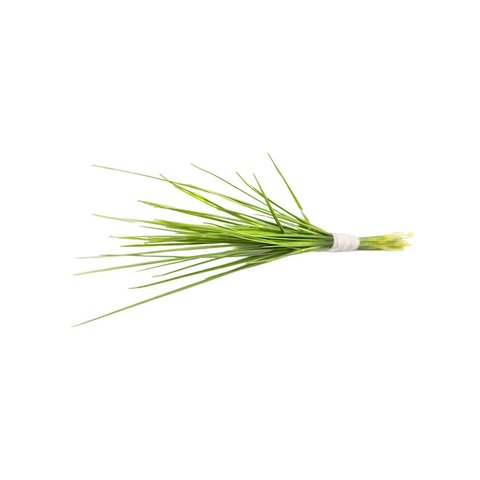 Doob Grass / Durva Grass (Garike) - 25 g Price - Buy Online at Best ...