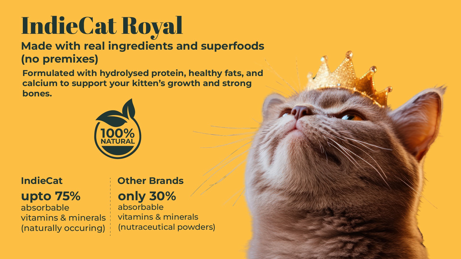 Indie Cat Chicken Royal Growth Wet Kitten Food Price - Buy Online at ...