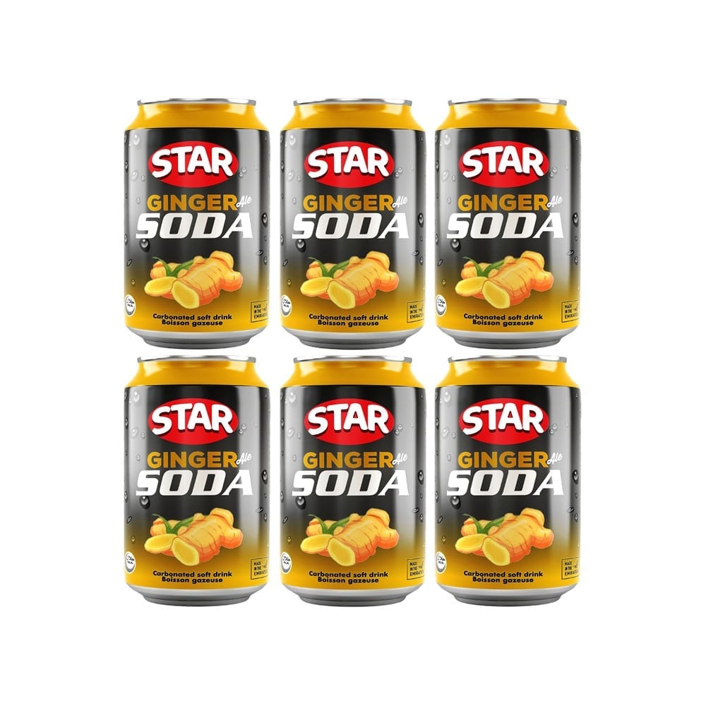 Star Ginger Ale Soda Water Price - Buy Online at ₹319 in India