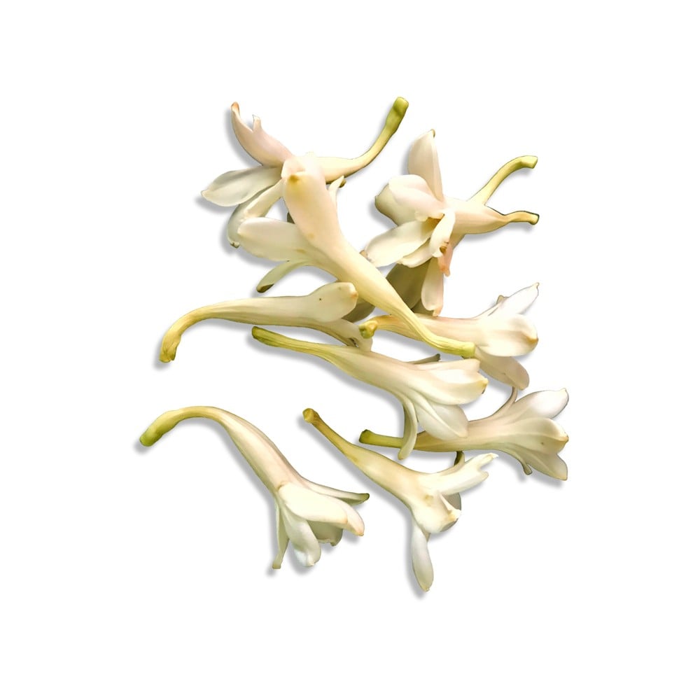 Rajnigandha Flowers Price - Buy Online at Best Price in India