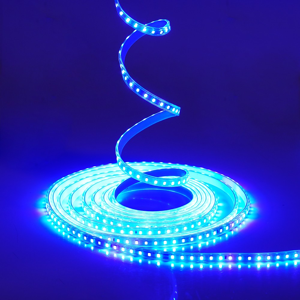 Blue Rope Light (20 W) - Parax Price - Buy Online at Best Price in India