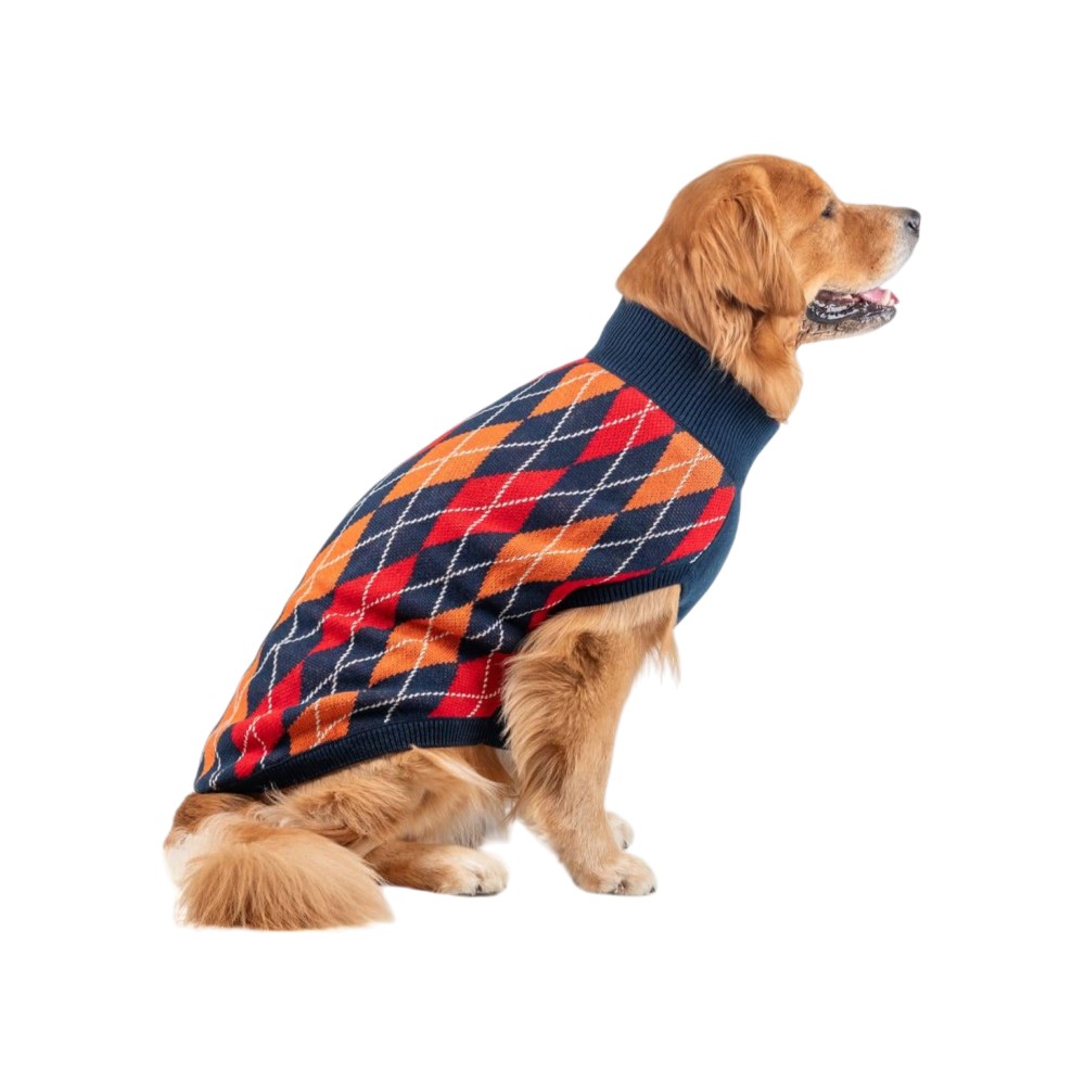HUFT Argyle Acrylic Dog Sweater (Multicolour) Price - Buy Online at ...