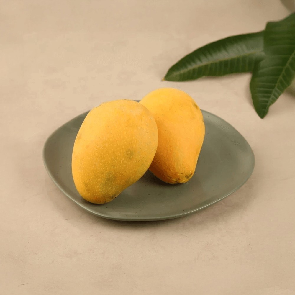 Organically Grown Safeda Mango - 2 piece (550-700 g) Price - Buy Online ...