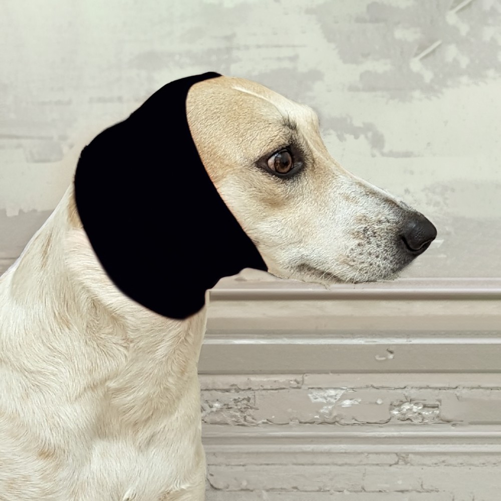 Mutt of Course Dog Ear Muffs (Black) Price - Buy Online at Best Price ...