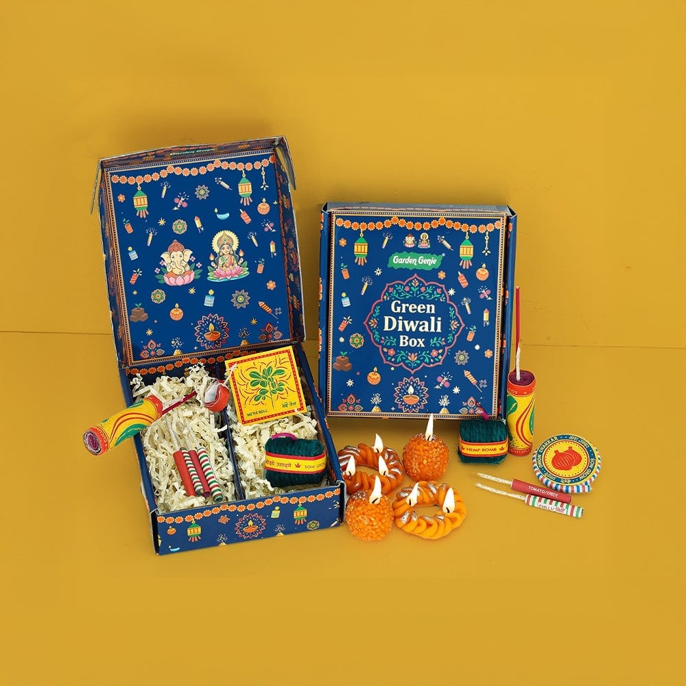 Garden Genie Plantable-Crackers & Mithai Candles Diwali Gift Box Price ...