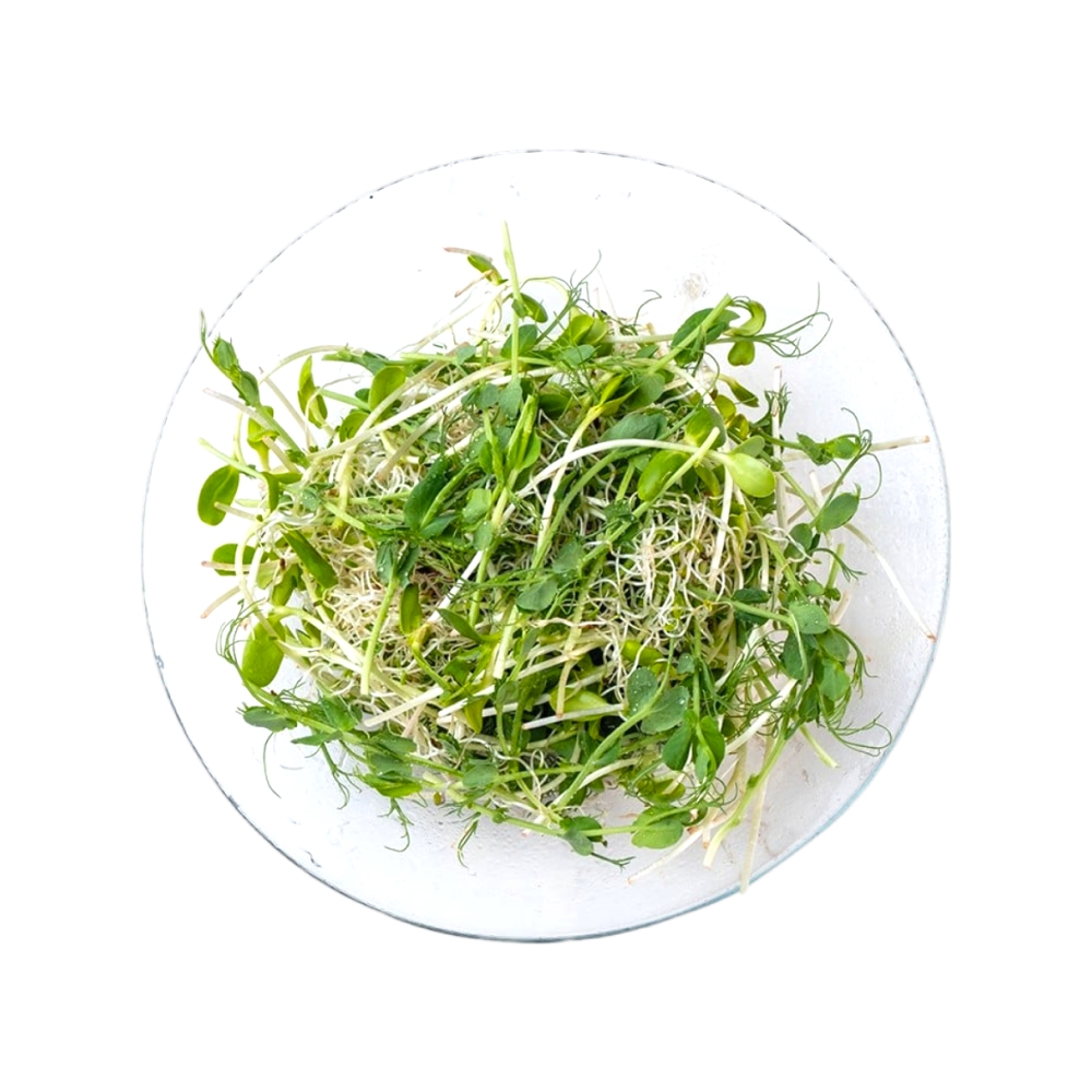 Krishi Cress Salad Mix With Microgreen Price - Buy Online at Best Price ...