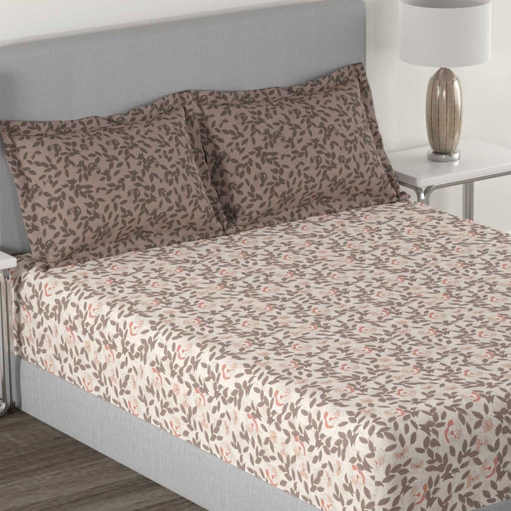 myTrident Cotton Double Bedsheet (144 TC, Brown) Price - Buy Online at ...