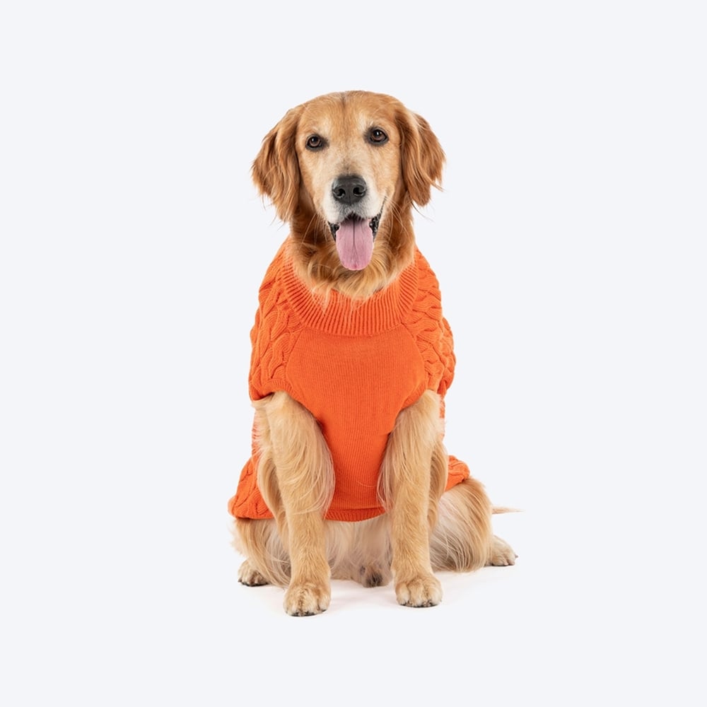 HUFT Sunset Glow Dog Sweater (Orange) Price - Buy Online at ₹969 in India
