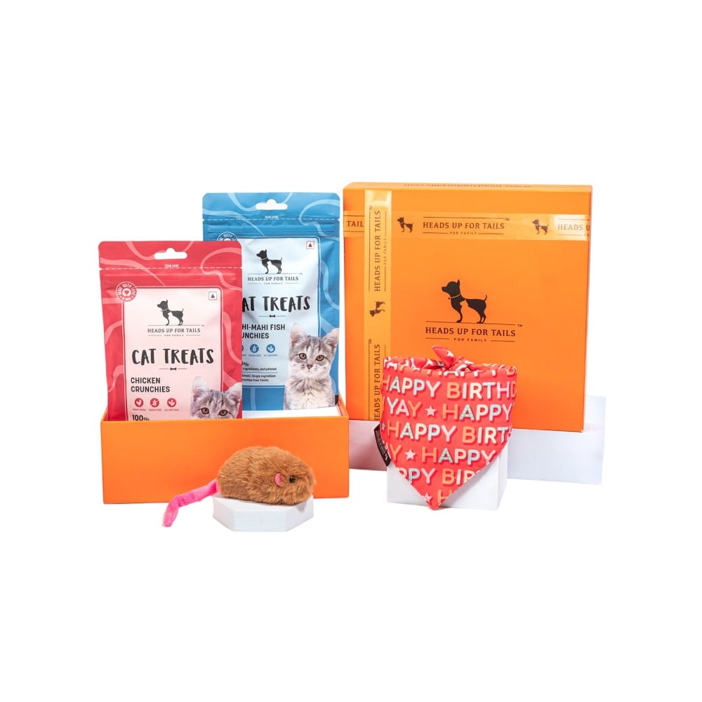 HUFT Birthday Special Pet Gift Box For Cat Price - Buy Online at Best ...