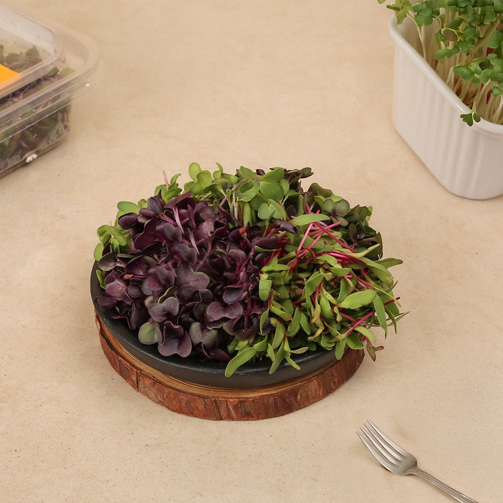 Mix Microgreens - Living Price - Buy Online at Best Price in India