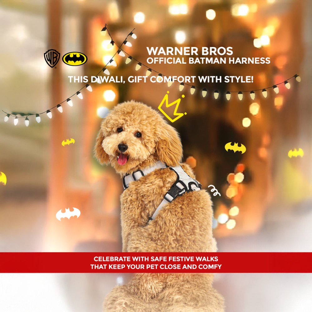Warner Bros. Official Batman Dog Harness (Black and Grey) Price - Buy ...
