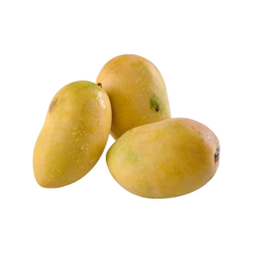 Organically Grown Chaunsa Mango Price - Buy Online at Best Price in India
