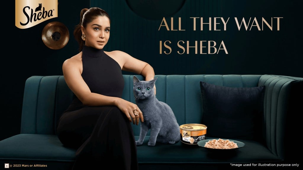 Sheba Deluxe Wet Cat Food - Chicken Breast in Gravy Price - Buy Online ...