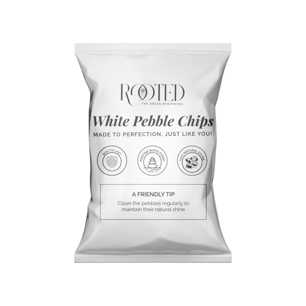 Rooted White Pebble Chips Gardening Accessory Price - Buy Online at ...