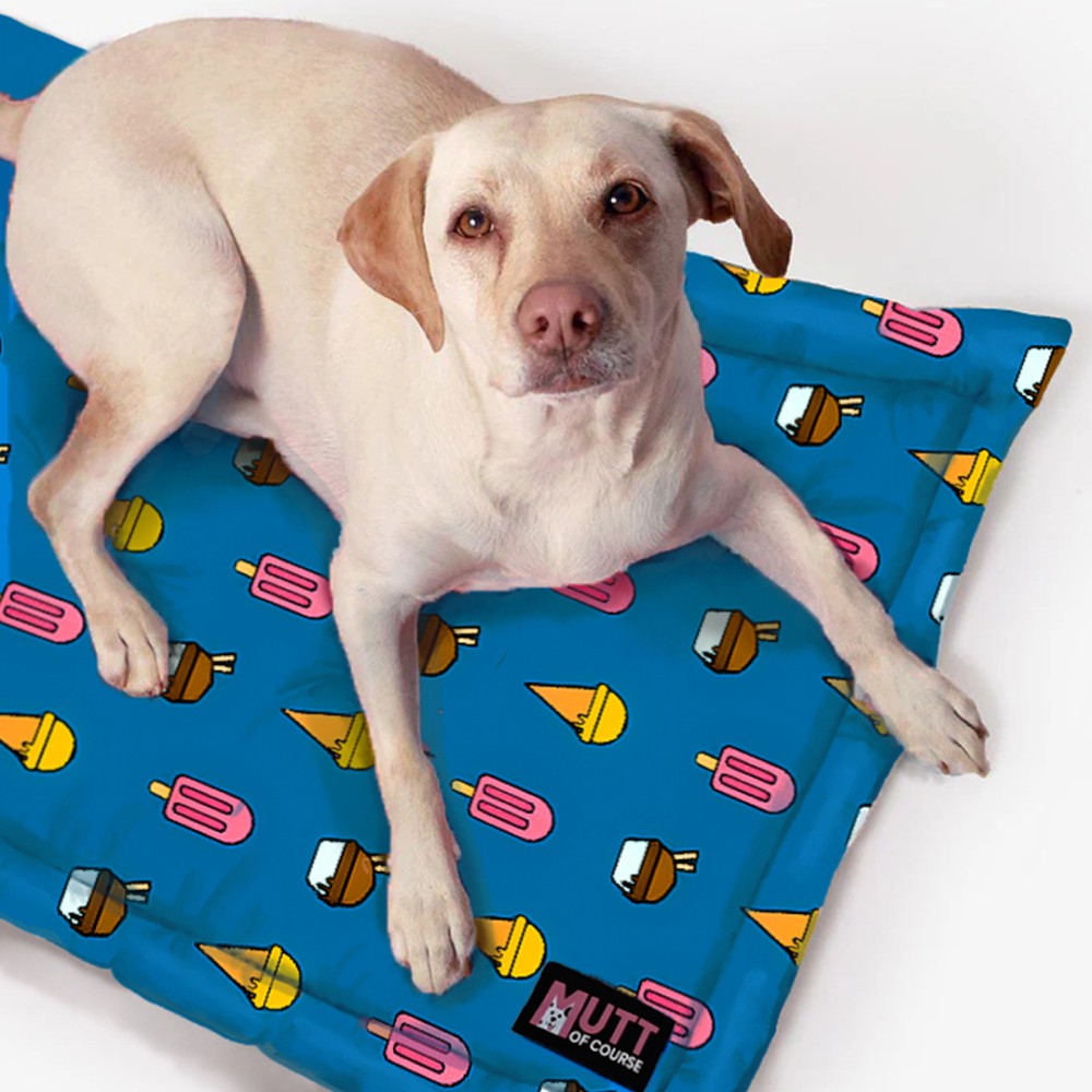 Mutt of Course ⁠Pupsicle Print Cushioned Dog Mat Medium (Blue) Price ...