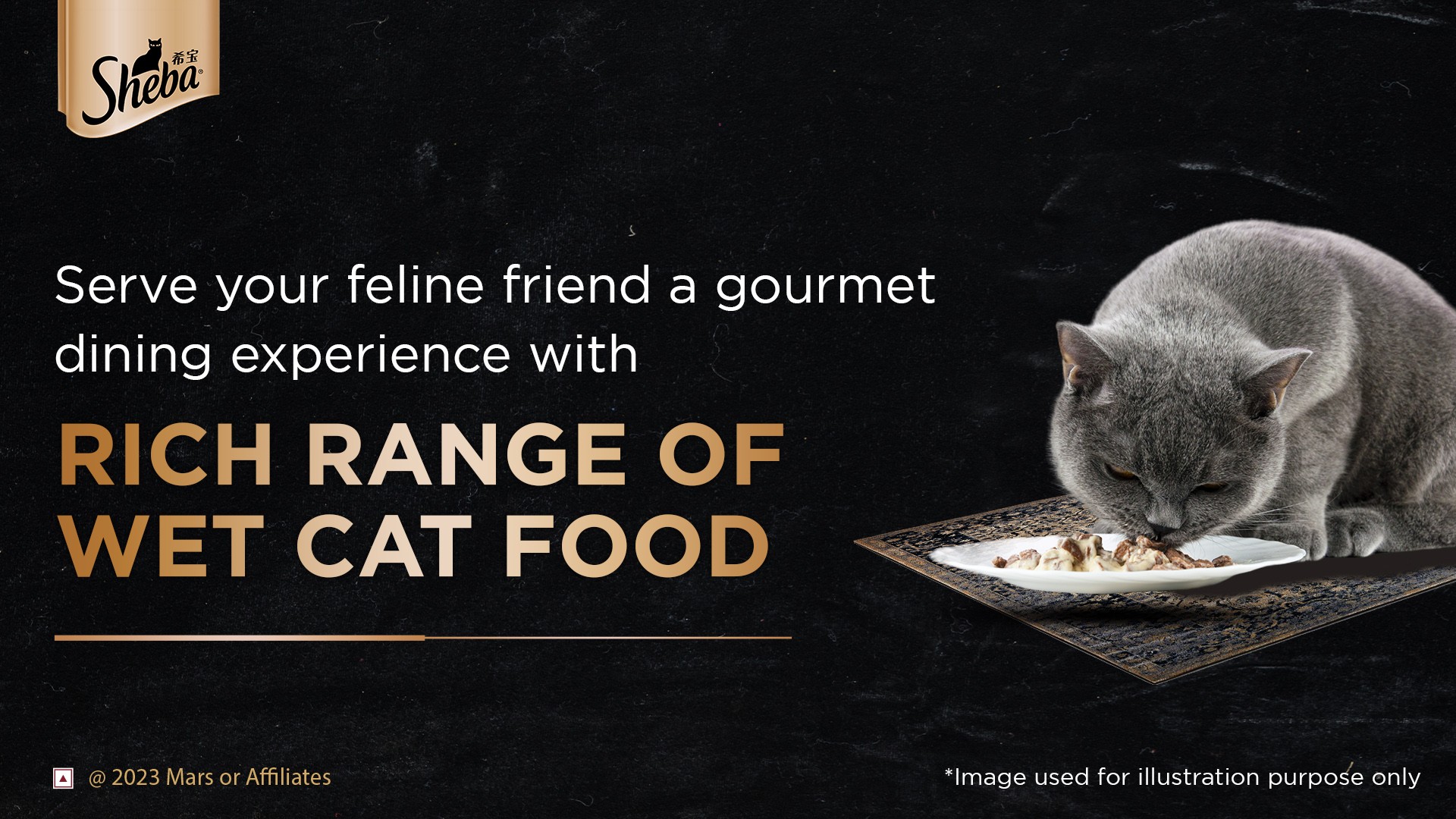 Sheba Premium Wet Dry Kitten Food, Chicken Loaf Price - Buy Online at ...