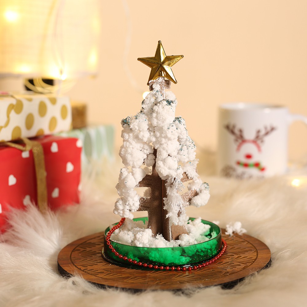 Mini Magic Growing Christmas Tree - Quace Price - Buy Online at Best ...